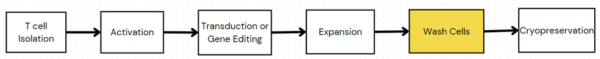 Maintaining Viable Cell Count in Primary T Cells During Cell Washing ...