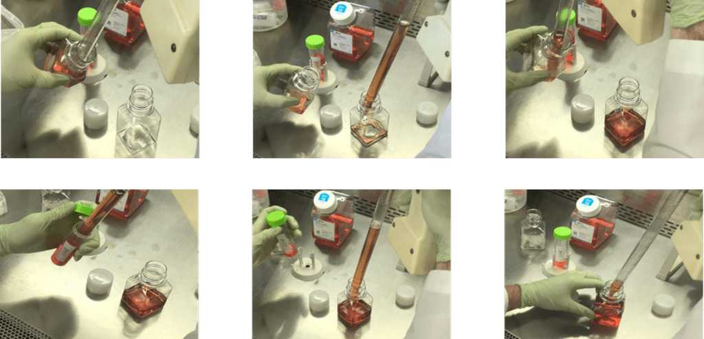 Cellastim S - Reconstitution Application Note - InVitria