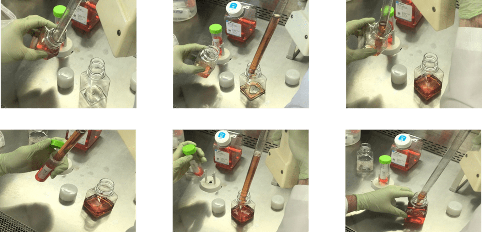 Cellastim S - Reconstitution Application Note - InVitria