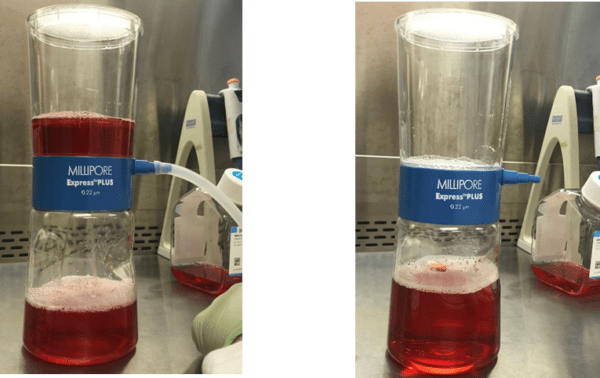 Cellastim S - Reconstitution Application Note - InVitria