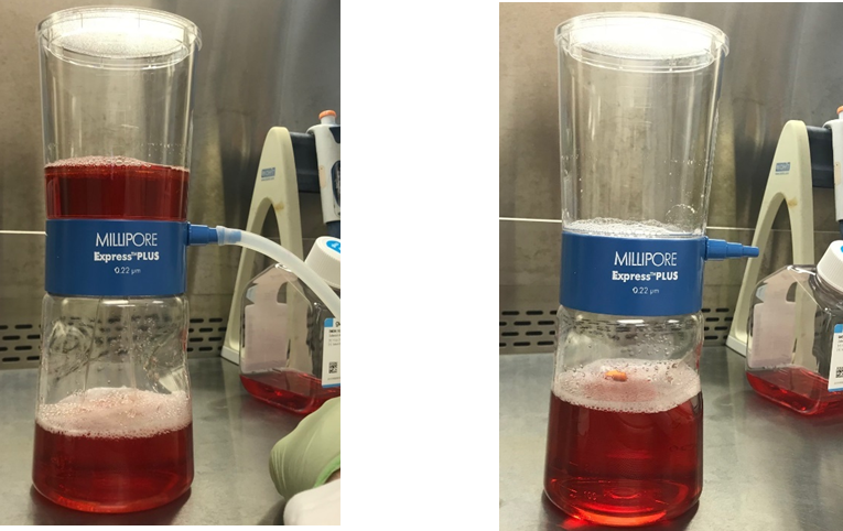 Cellastim S - Reconstitution Application Note - InVitria